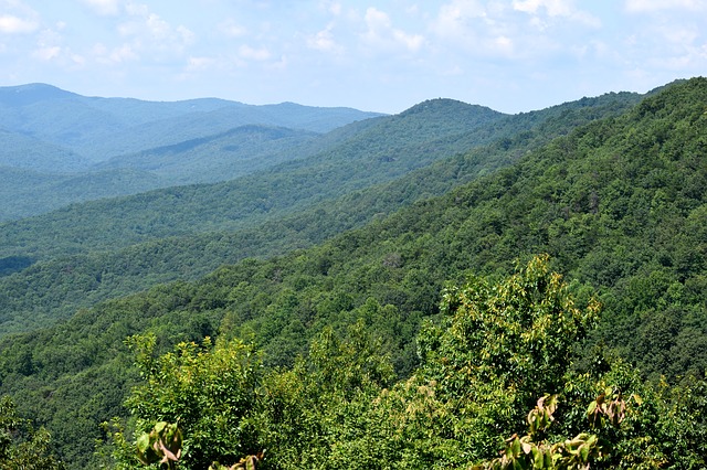 Logan County WV Lawyer – Born & Raised! - Harwood Legal, PLLC